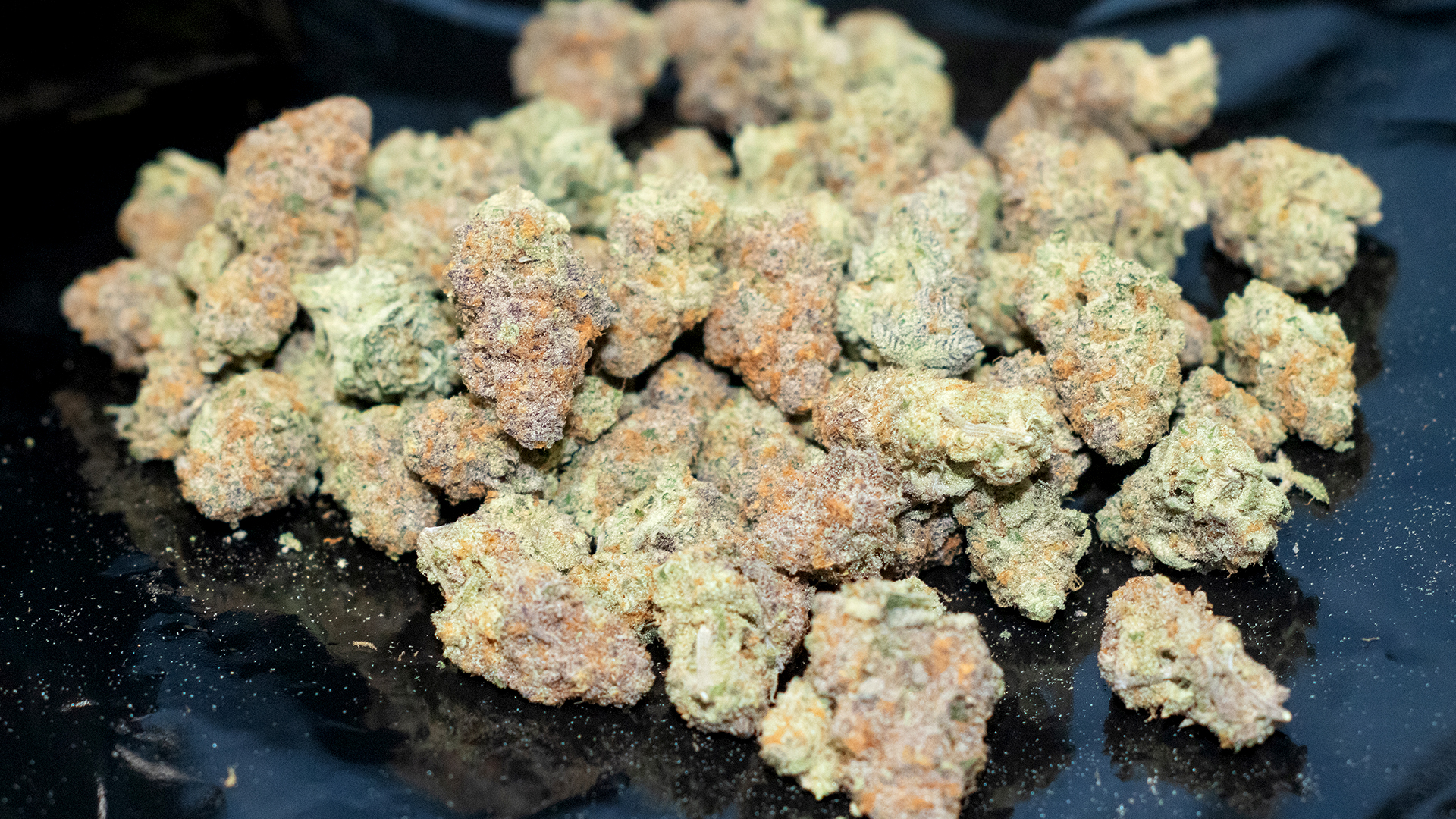 Shop Neptunes Garden Cannabis NJ - The Canna Bar